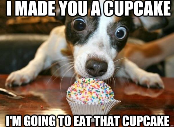 Cupcake Thief Memes