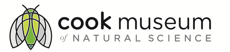 Rocket City Mom Events – Family Fun in Huntsville & North Alabama