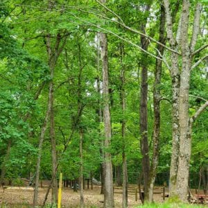 Quick Guide to Madison Parks and Playgrounds - Rocket City Mom ...