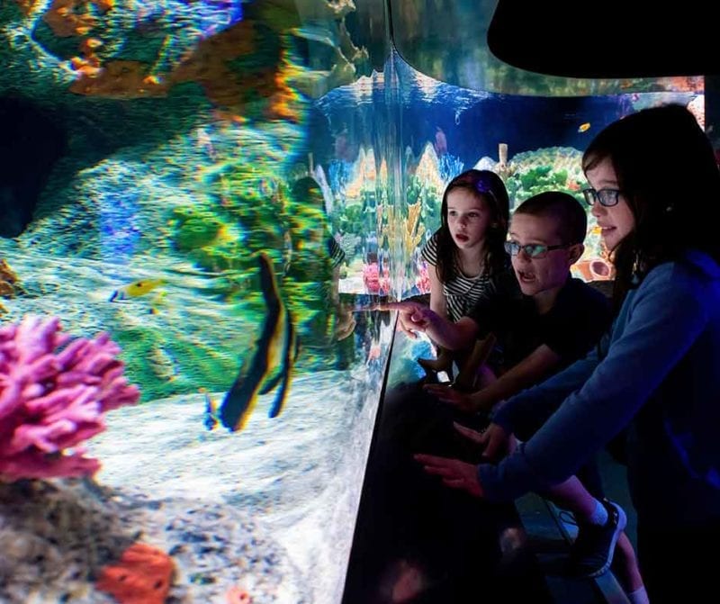 Rocket City Mom Events – Family Fun in Huntsville & North Alabama