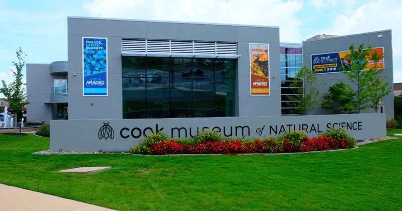 Education Spotlight: Cook Museum of Natural Science - Rocket City Mom ...