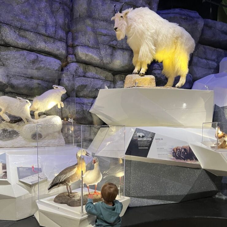 Rocket City Mom Events – Family Fun in Huntsville & North Alabama