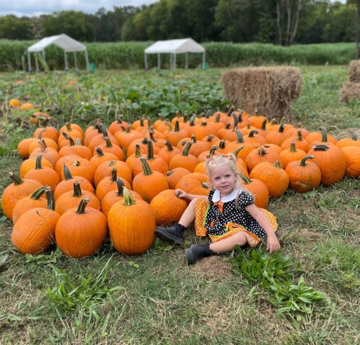 Huntsville's Fall Activity Guide