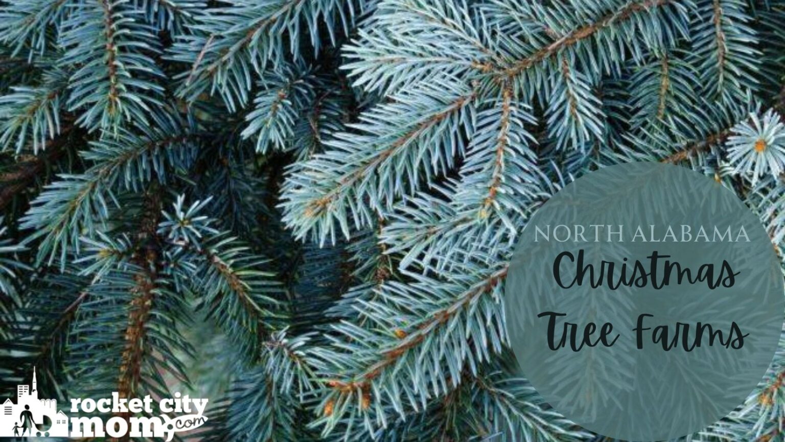 Rocket City Mom Events – Family Fun in Huntsville & North Alabama