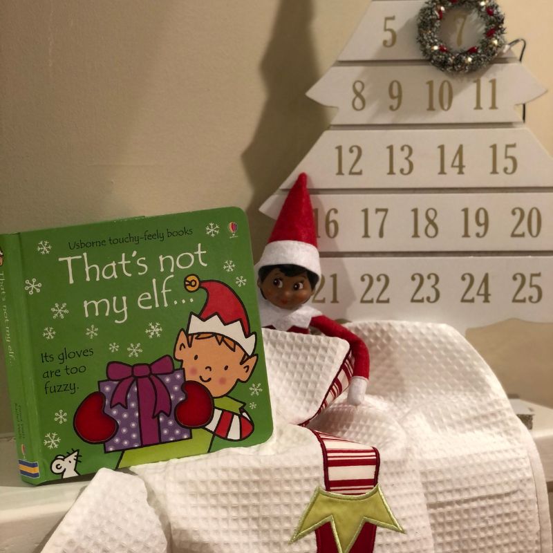 How to Survive & Thrive during an Elf on the Shelf Home Invasion ...