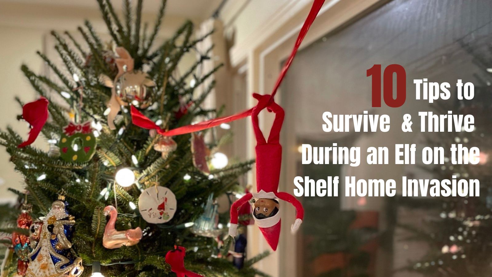 How to Survive & Thrive during an Elf on the Shelf Home Invasion ...