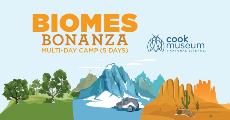 Education and Learning Summer Camps in Huntsville & North Alabama ...