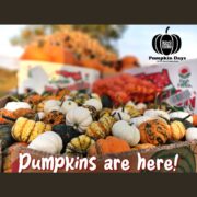 North Alabama Pumpkin Patches, Corn Mazes, and Hayrides - Rocket City ...